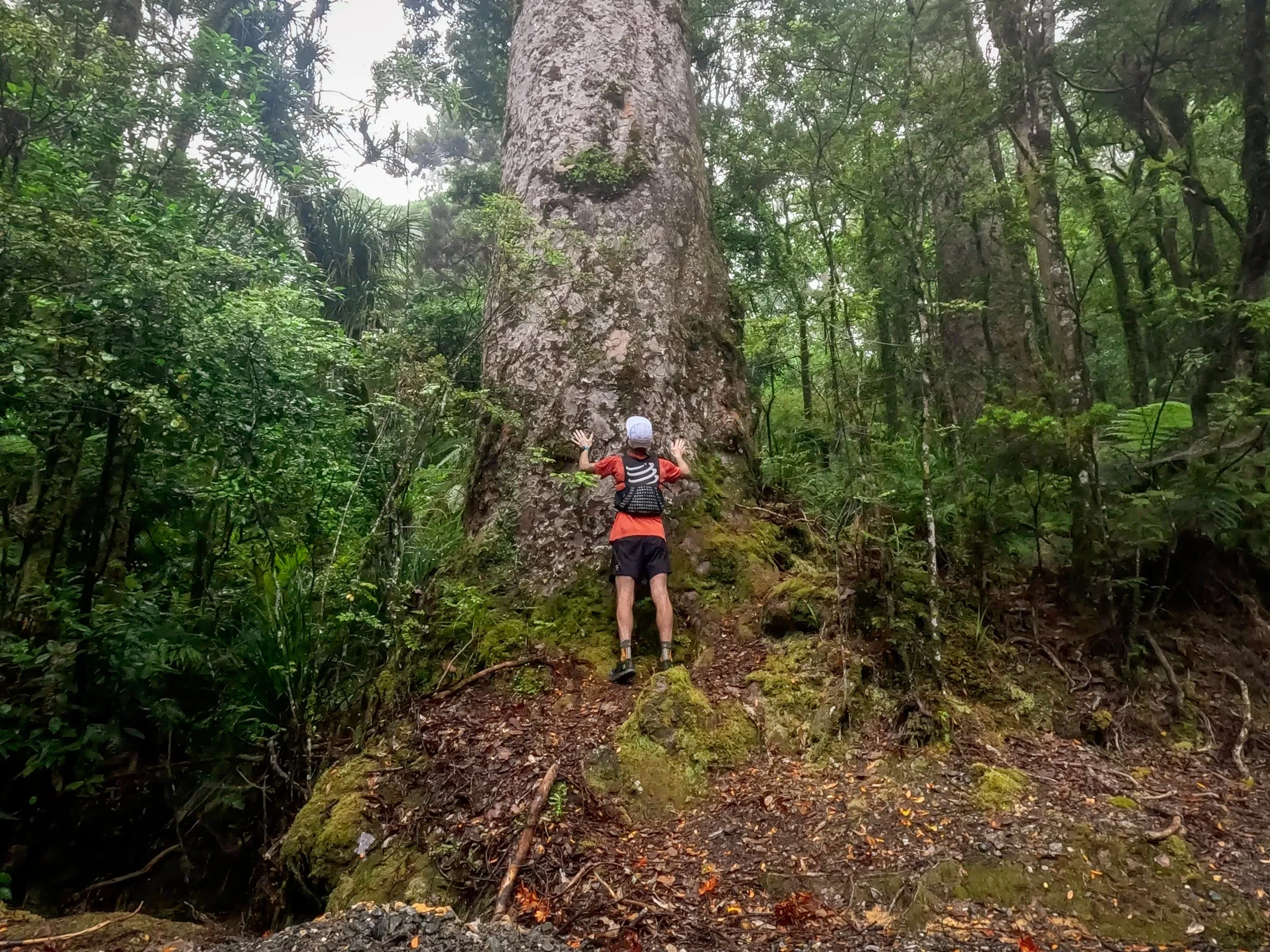 Paul Giblin: The Man Running 3,000 Kilometers Along The Te Araroa Trail ...