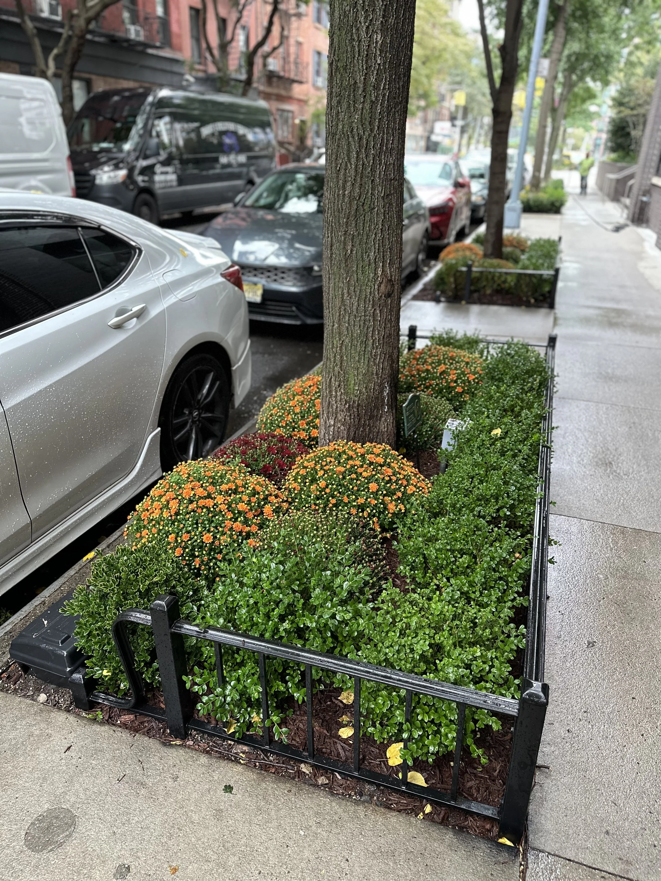 Tree plots — FLORÉAL