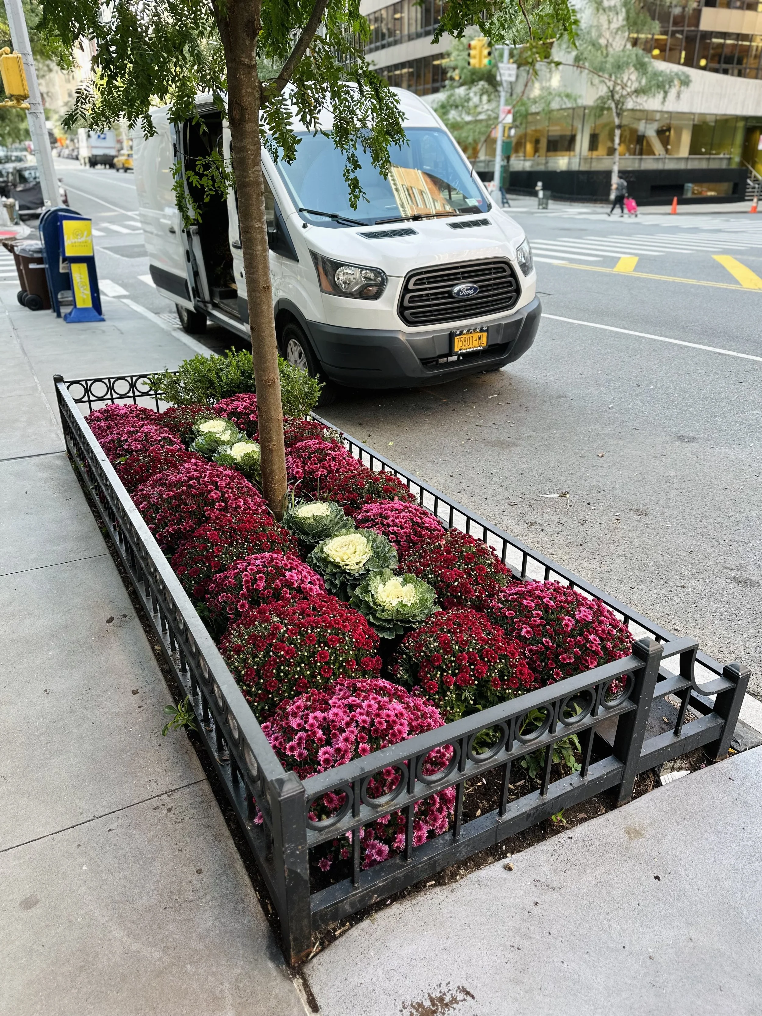 Tree plots — FLORÉAL