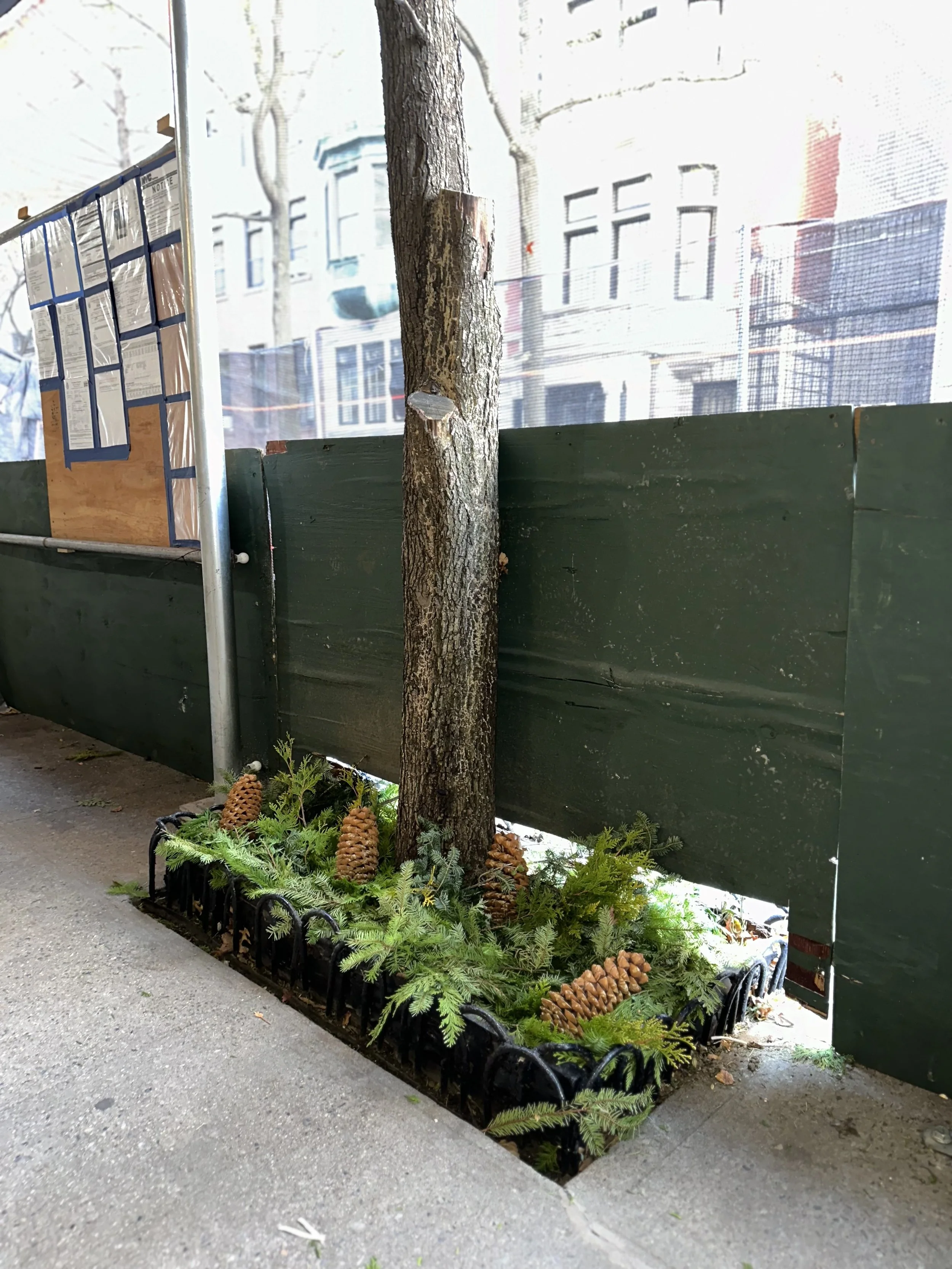Tree plots — FLORÉAL