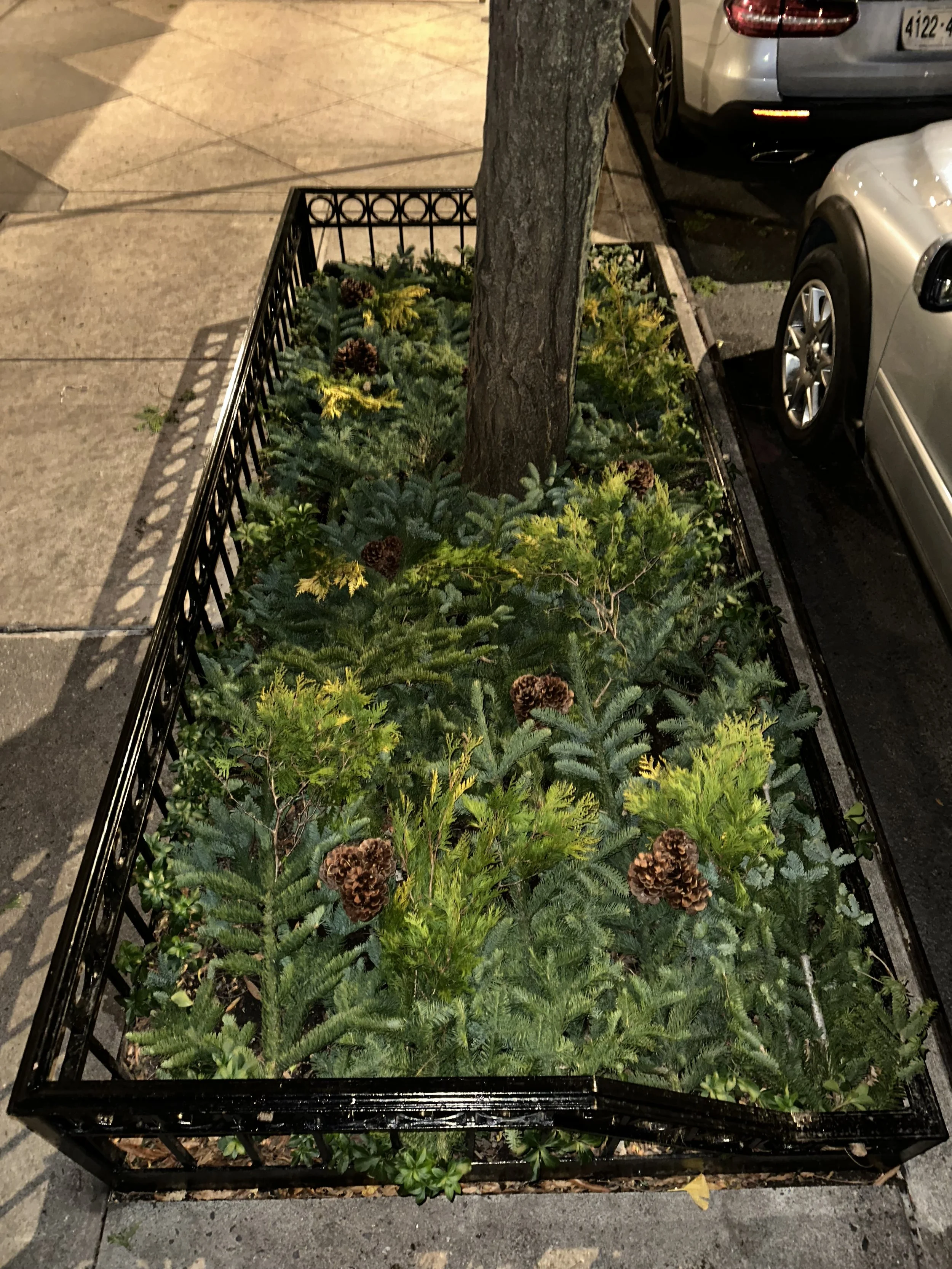 Tree plots — FLORÉAL