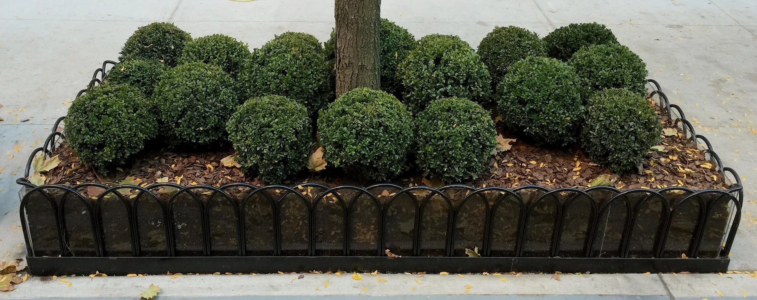 Tree plots — FLORÉAL