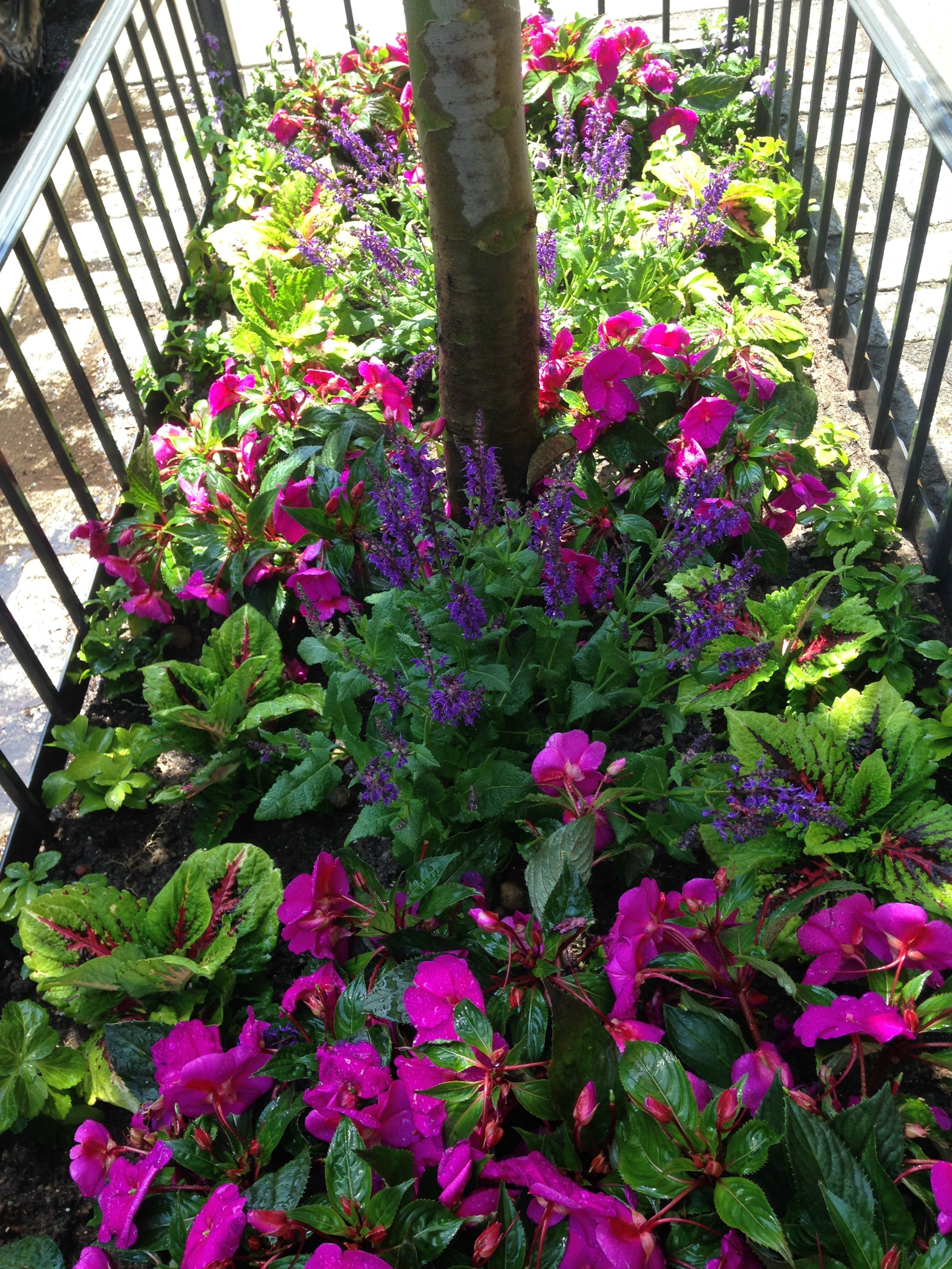 Tree plots — FLORÉAL