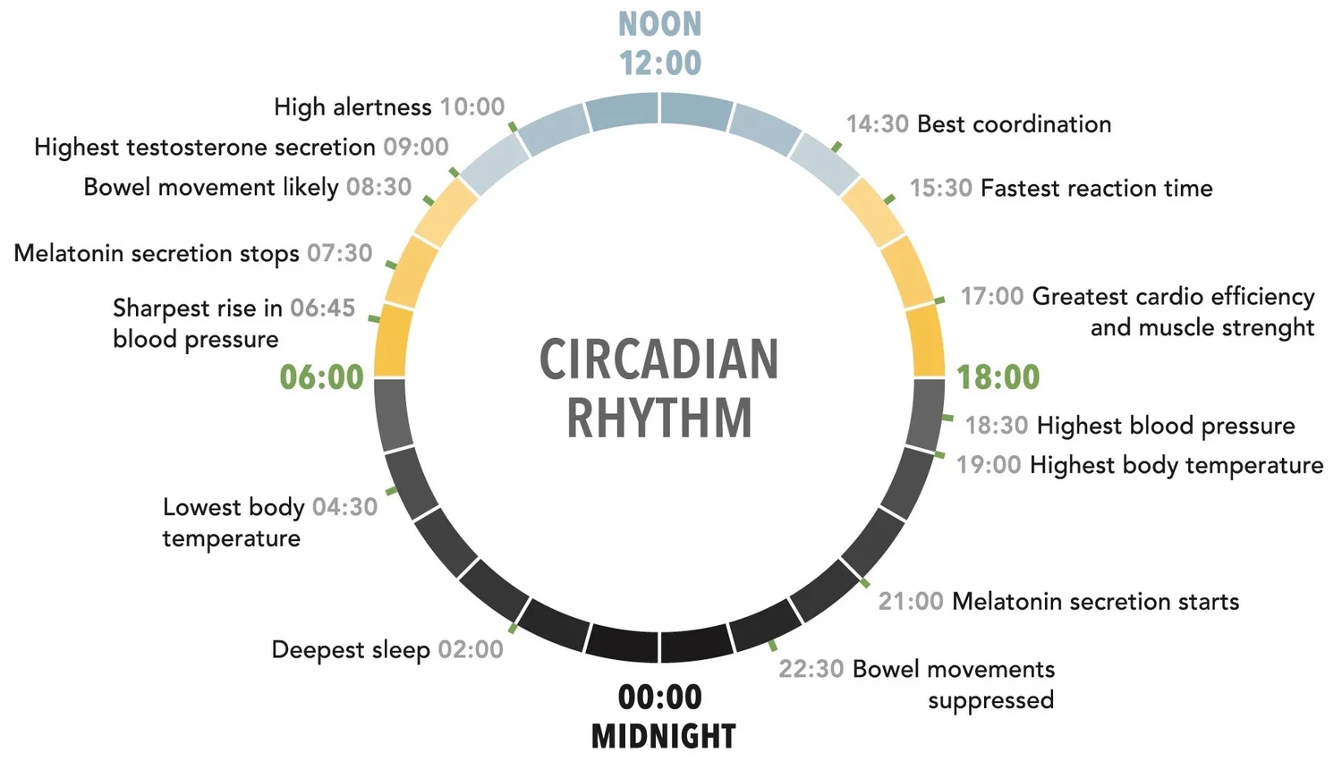 How to Use the Psychology of Light and Lighting to Boost Your ...