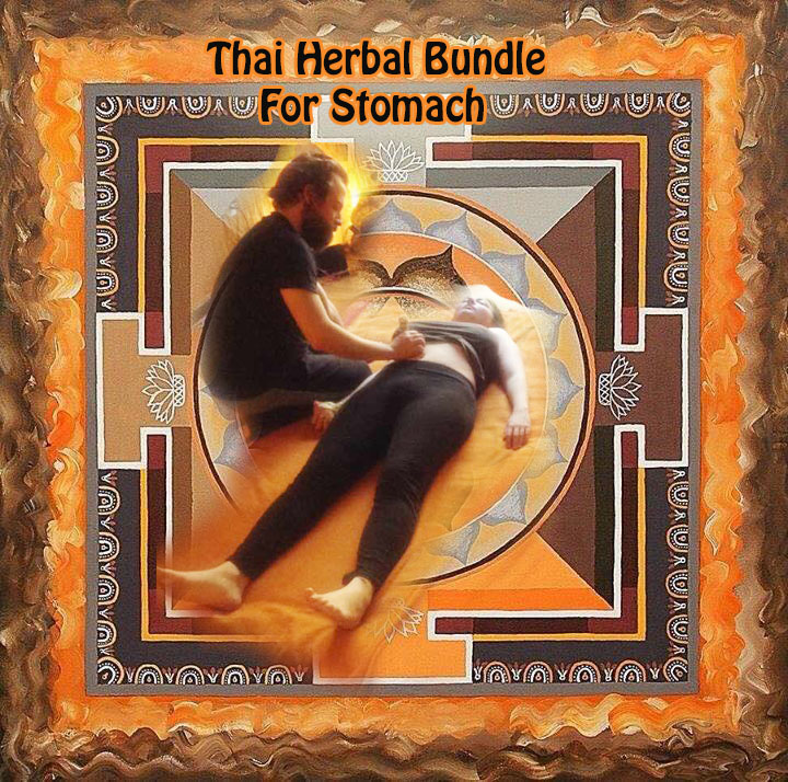 Bodhi Sangha School Of Thai Massage