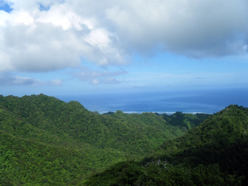 Rarotonga Coral Reef Survey | Coral Reef Diagnostics — Coral Reef ...