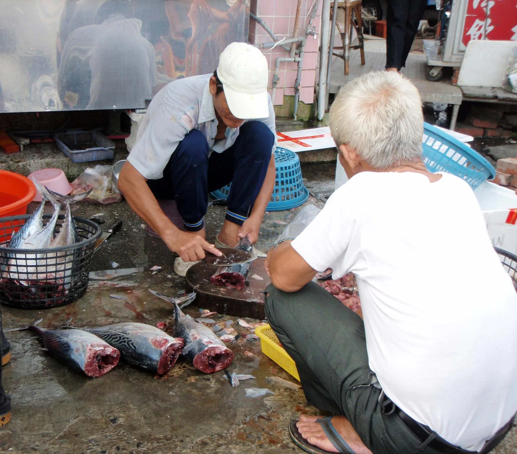 Donggang — Coral Reef Diagnostics