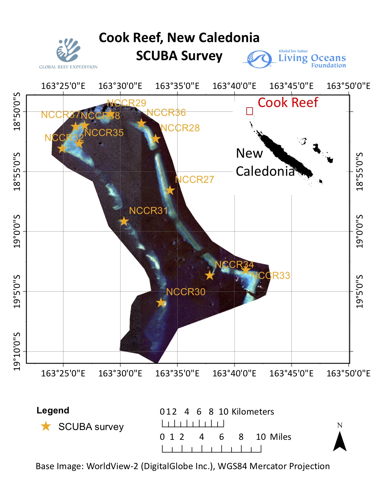 Cook Reef Survey Data | Coral Reef Diagnostics — Coral Reef Diagnostics