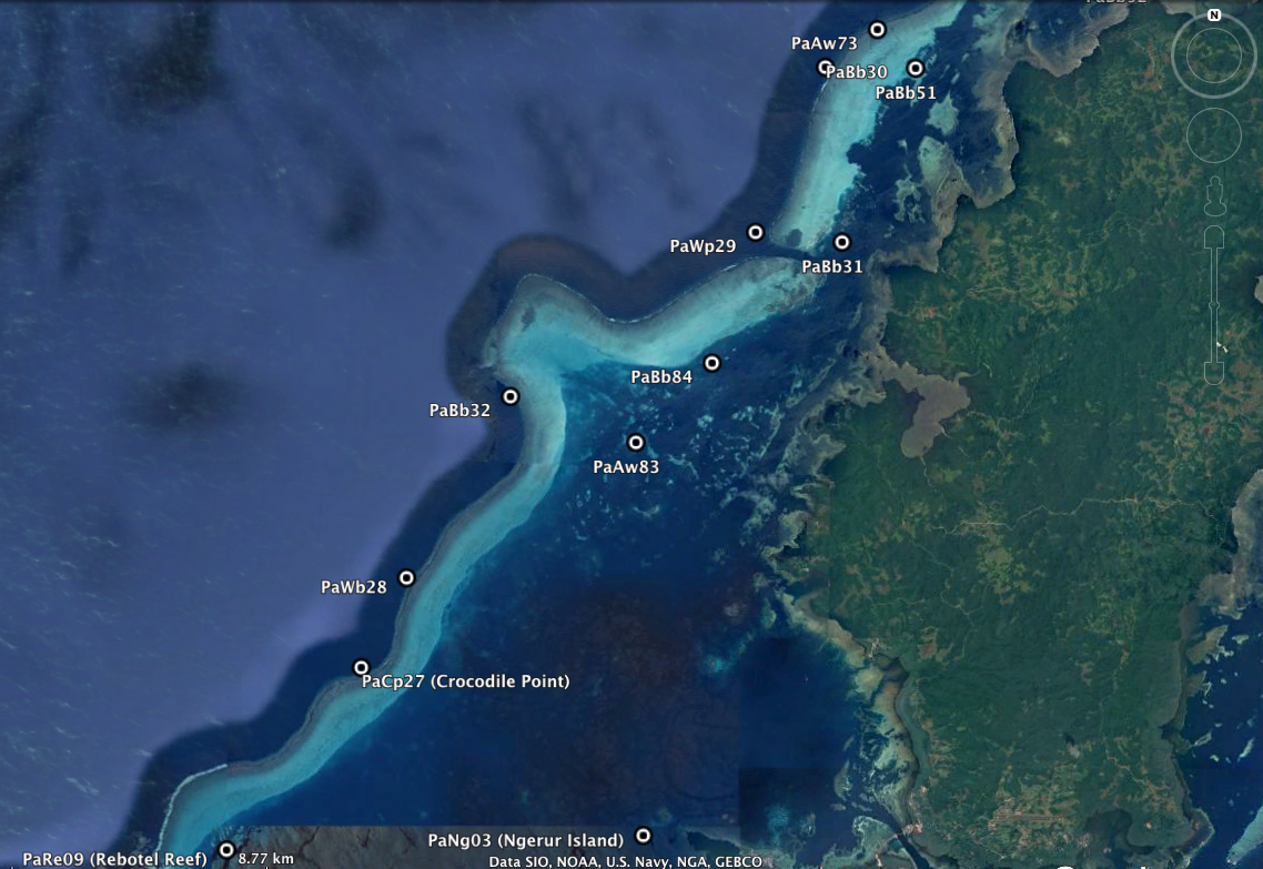 Northwest Palau Coral Surveys – Southern Barrier Reef Sites — Coral ...