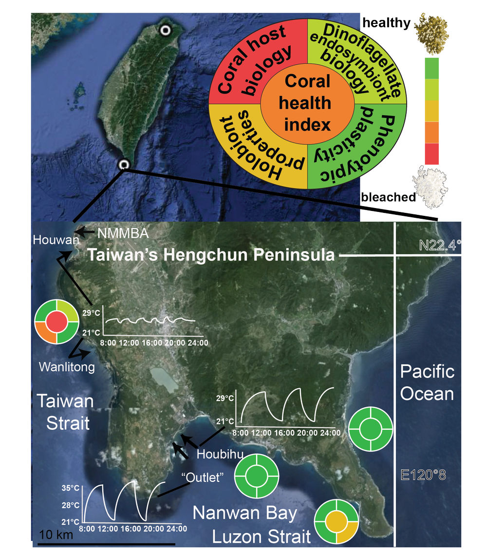 Research overview — Coral Reef Diagnostics