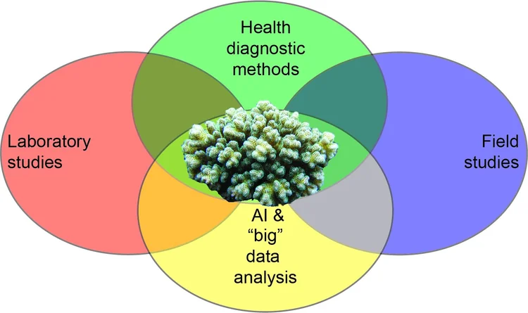 Research Overview | Coral Reef Diagnostics — Coral Reef Diagnostics