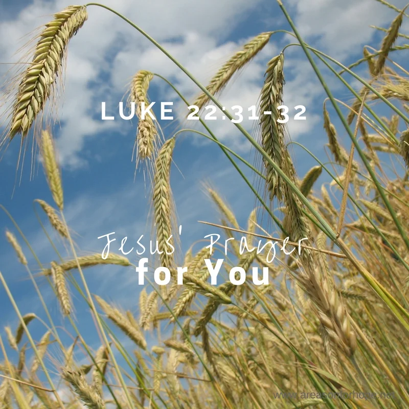 Jesus Prayer For You Luke 22 31 32 A Reason For Hope With Don jesus-prayer-for-you-luke-22-31-32-a-reason-for-hope-with-don