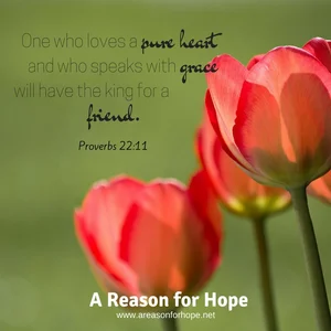 Proverbs 22:11 — A Reason for Hope with Don Patterson