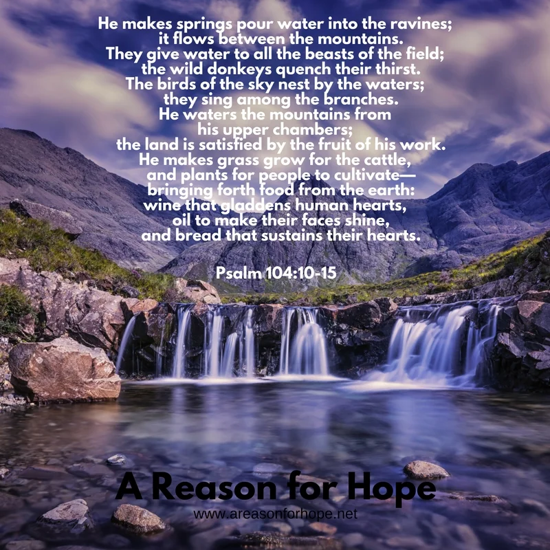 Psalm 104:10-15 — A Reason for Hope with Don Patterson