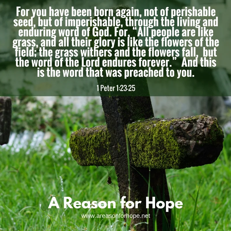 1 Peter 1 23 25 A Reason For Hope With Don Patterson 1-peter-1-23-25-a-reason-for-hope-with-don-patterson