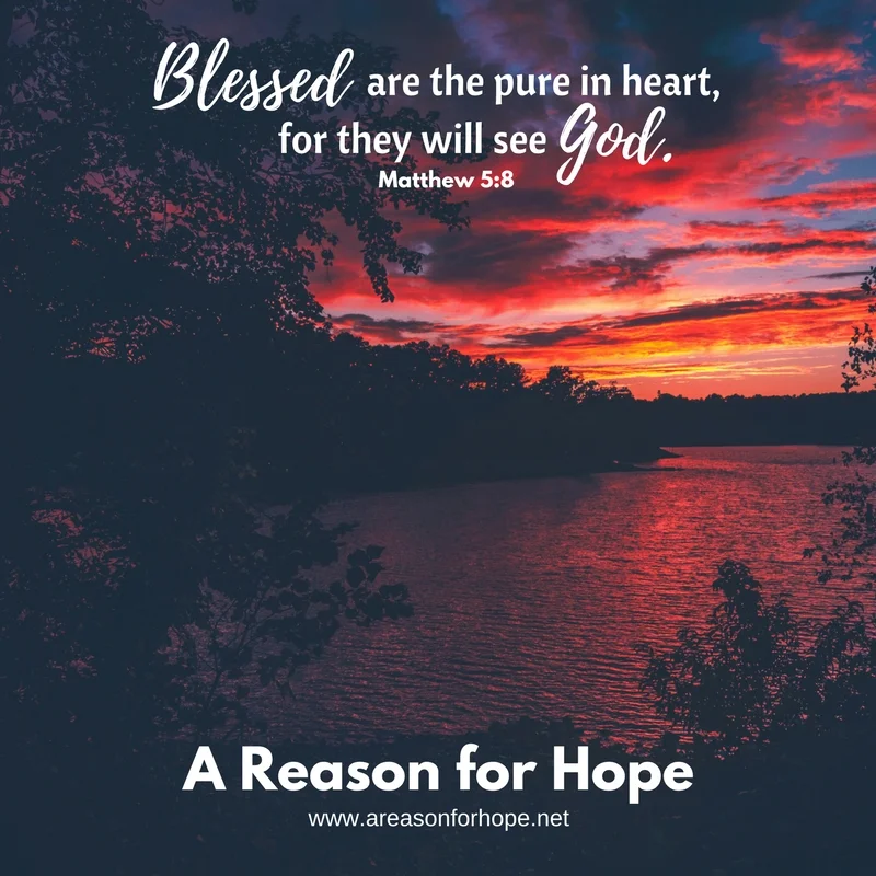 Matthew 5:8 — A Reason for Hope with Don Patterson