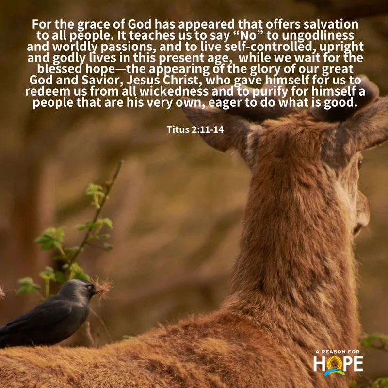 Titus 2:11-14 — A Reason for Hope with Don Patterson