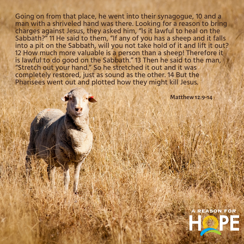 daily-prayers-a-reason-for-hope-with-don-patterson