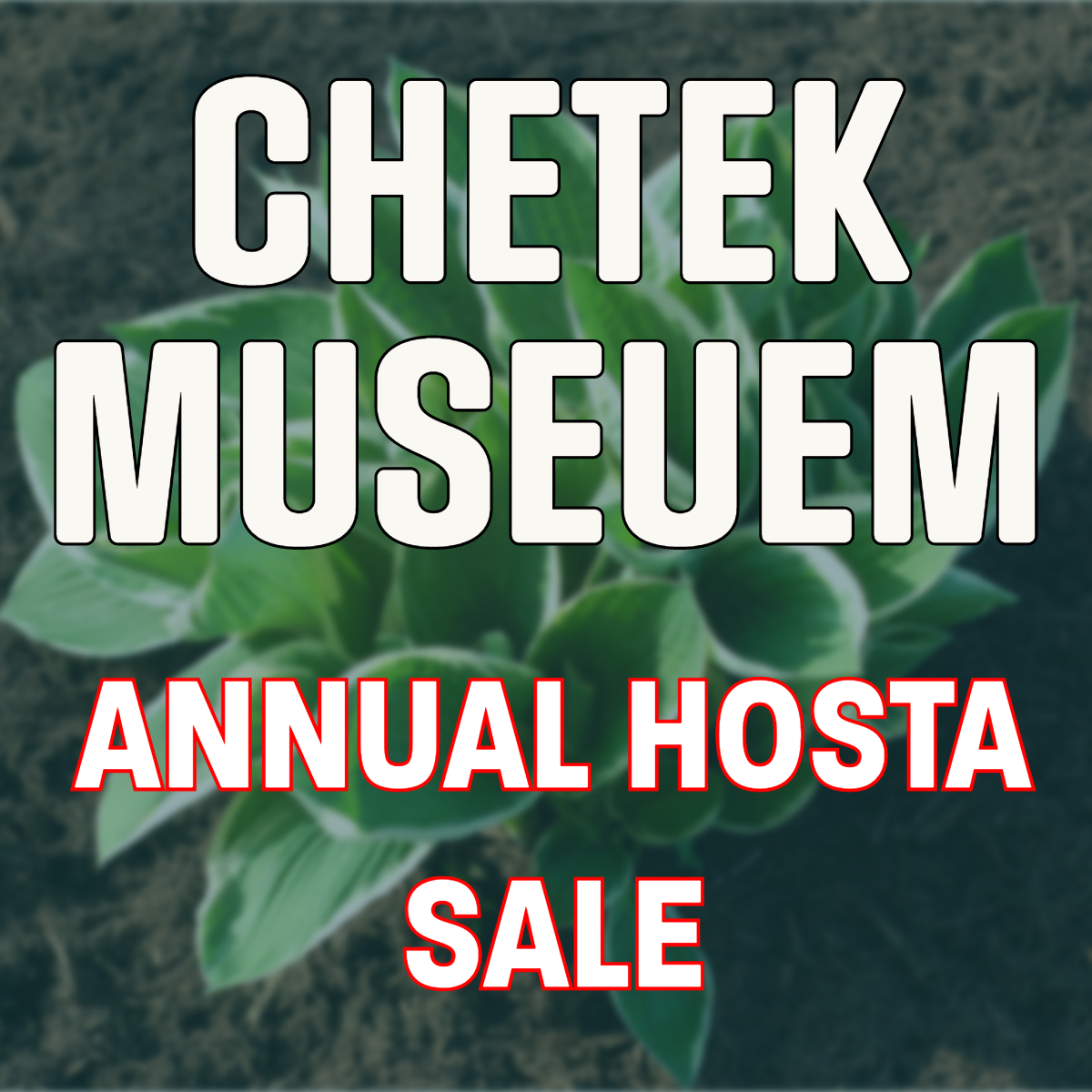 Resorts — Explore Chetek, WI