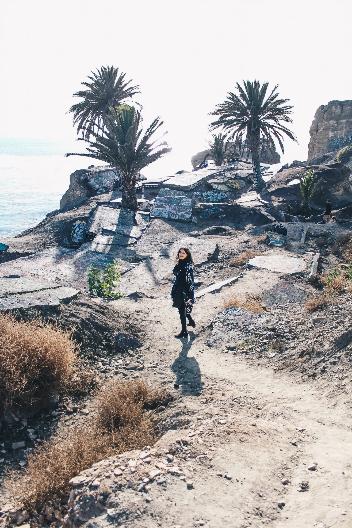 Sunken City — black & blooms