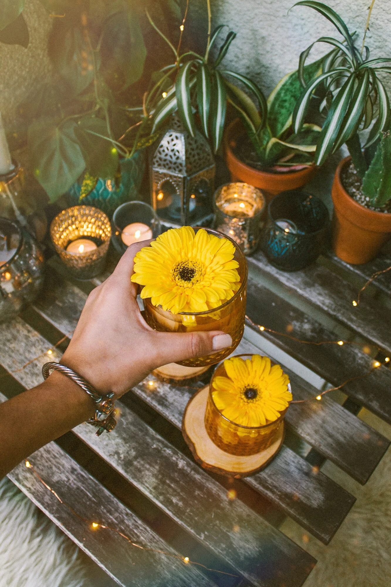 May Cocktail: Tequila Blooms — black & blooms