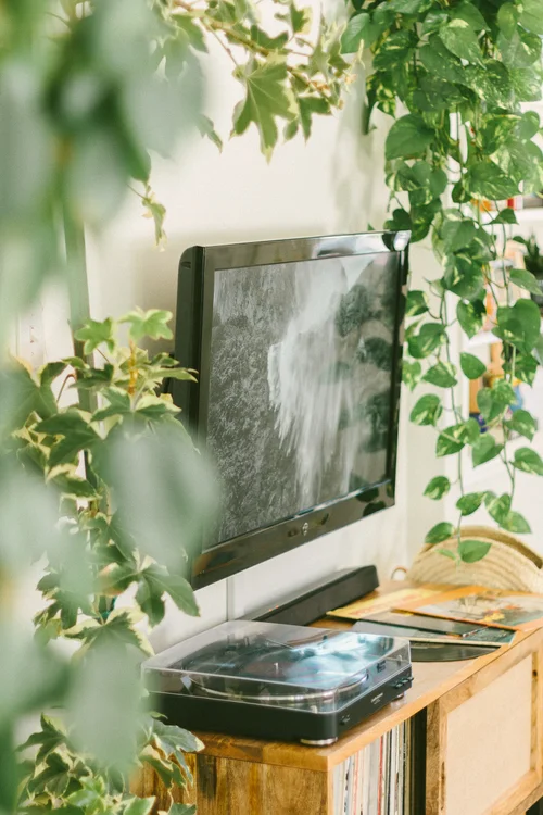 Before & After: How to Transform Your TV Wall — black & blooms