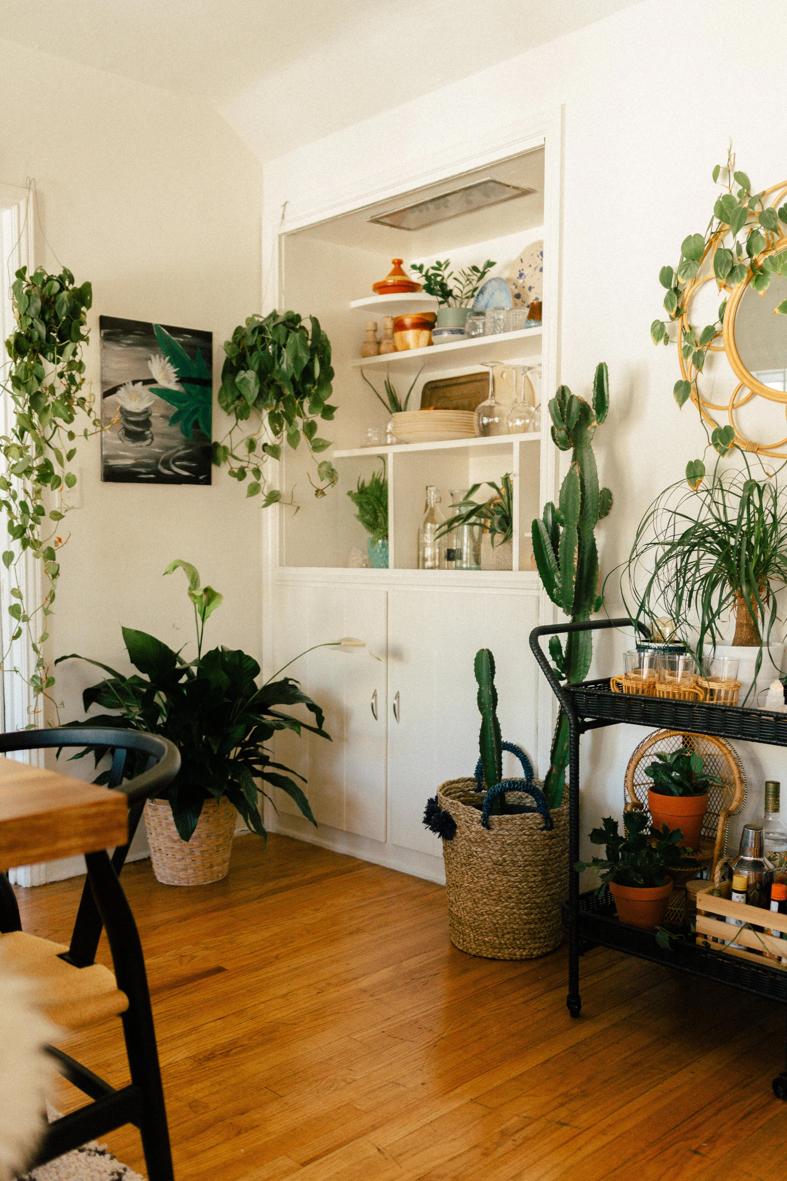 Creating a Plant Oasis At Home — Black & Blooms