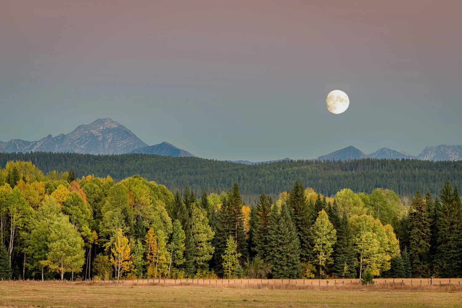 The Cunningham Press