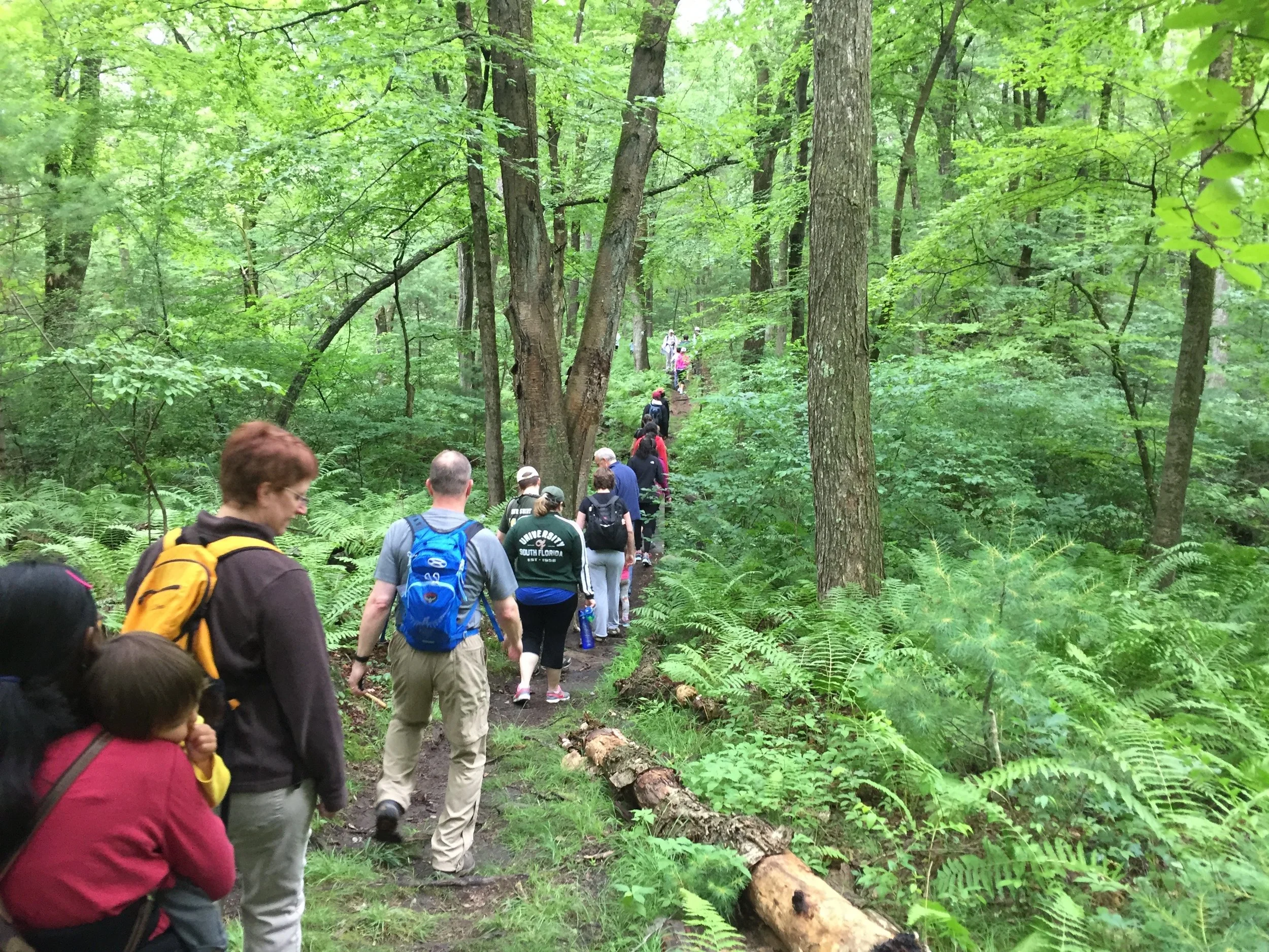 Ward Reservation — North Andover Trails