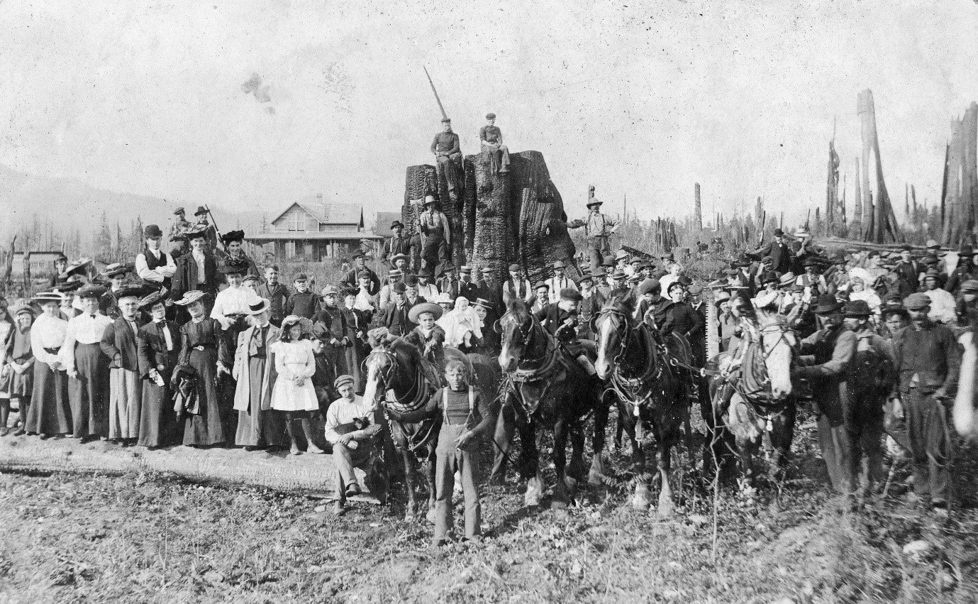 404 Somerset - A Tale of Pioneers and Crime Busters! — North Shore ...