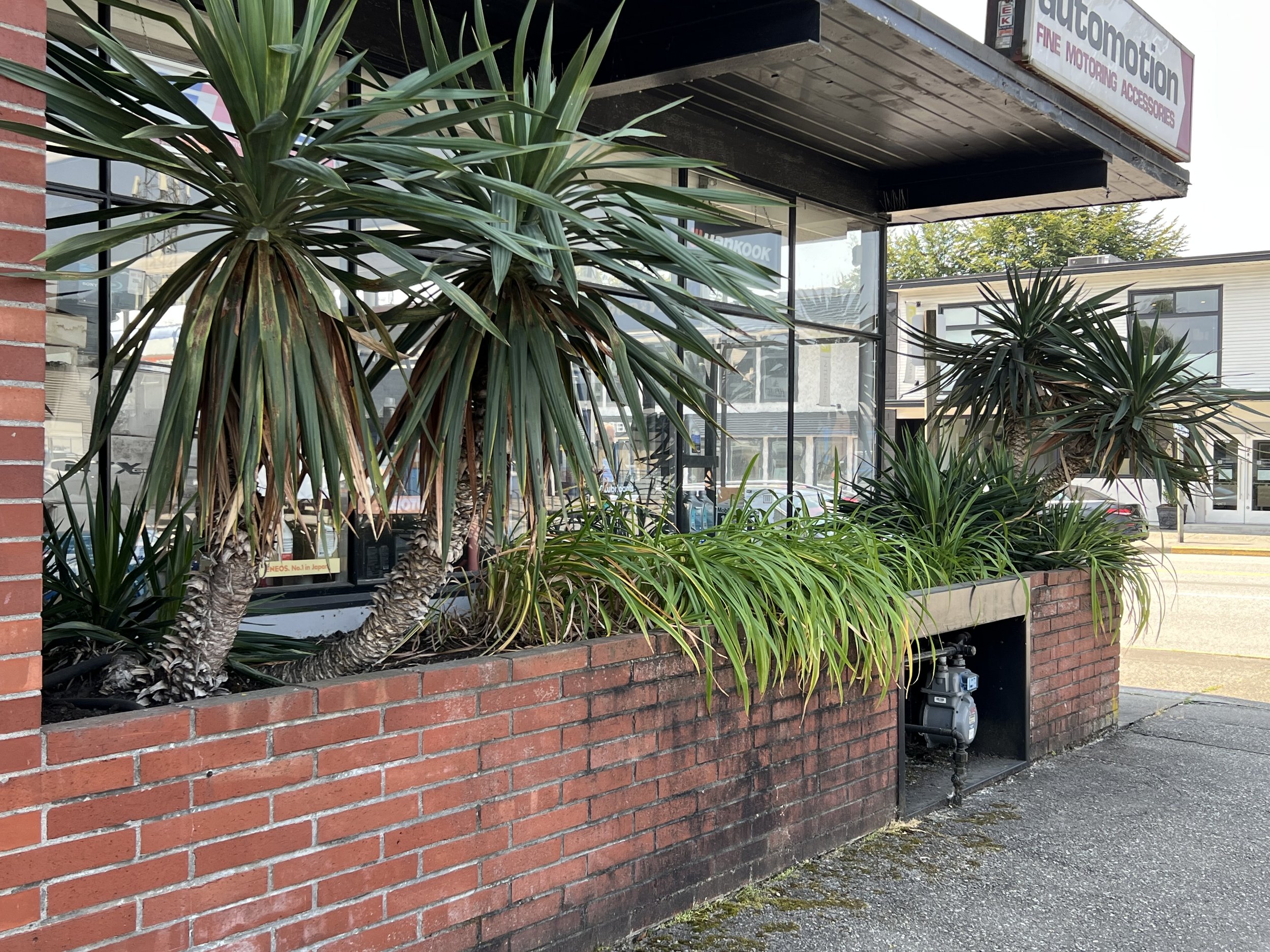 Pemberton Ave: A Mid-Century Celebration of Colour and Walkability — North Shore Heritage ...