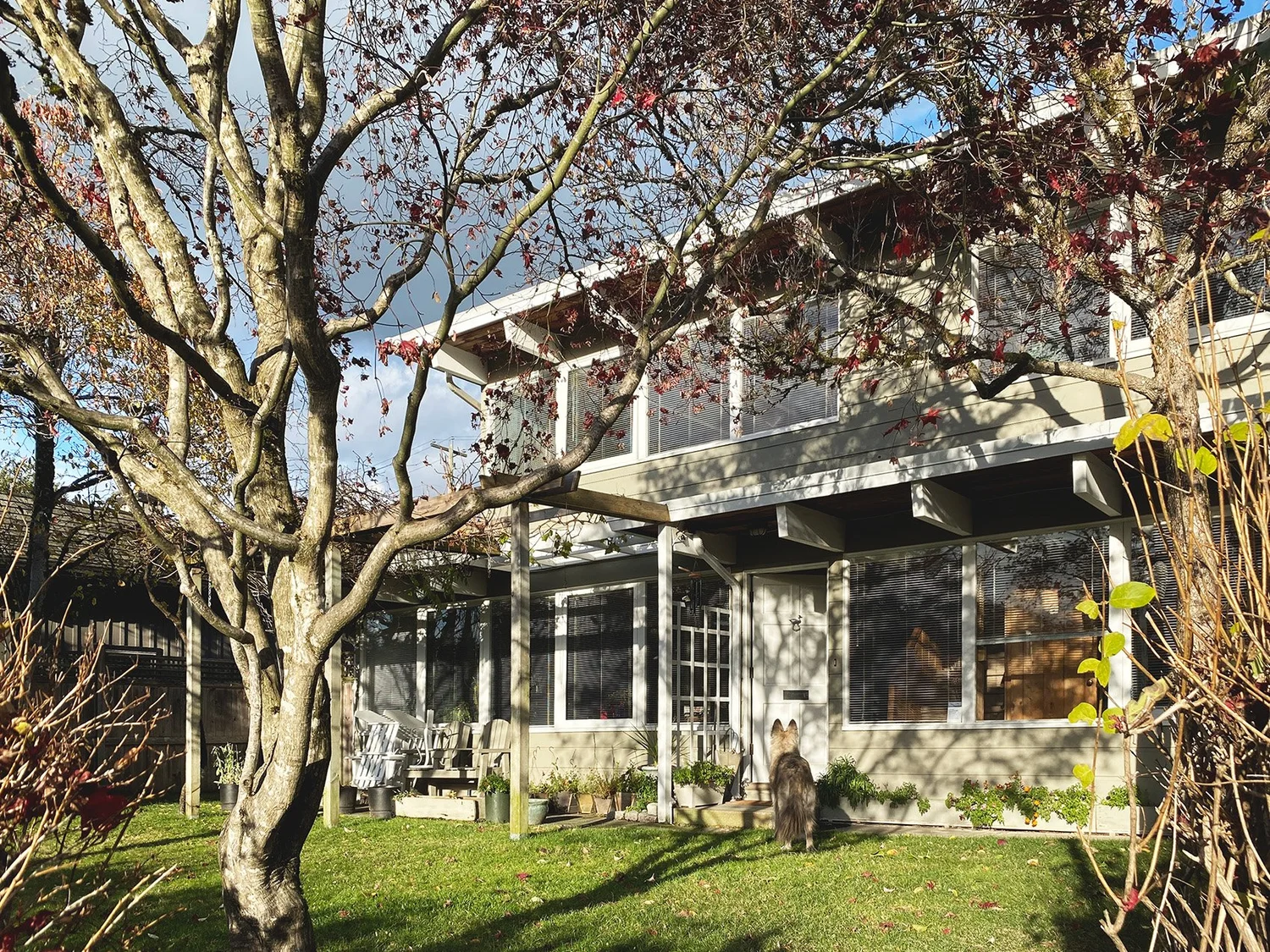 Lewis Through The Decades — North Shore Heritage Preservation Society