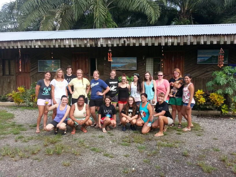 Sea Turtle Conservation in Costa Rica — Animal Experience International