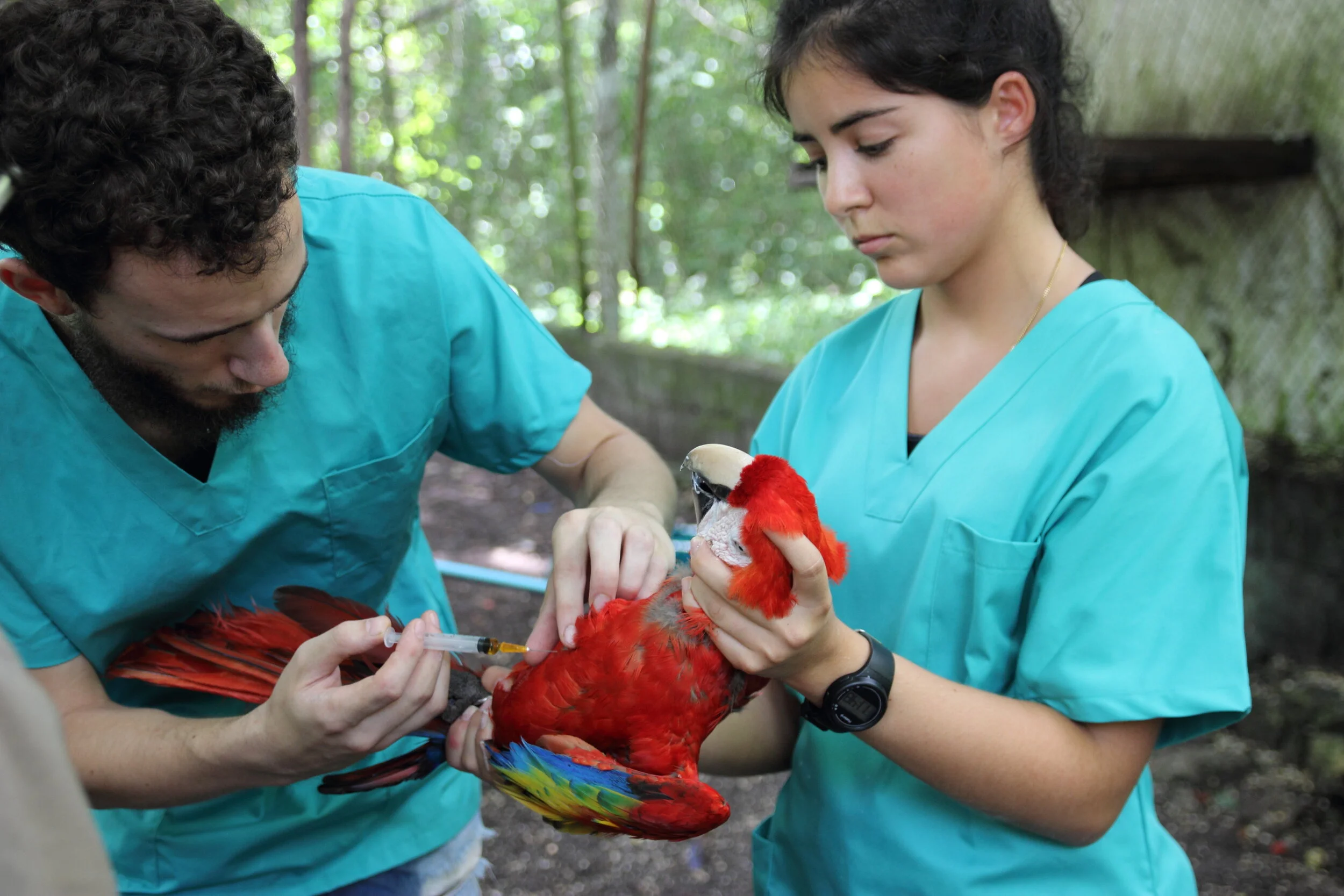 Animal Experience International