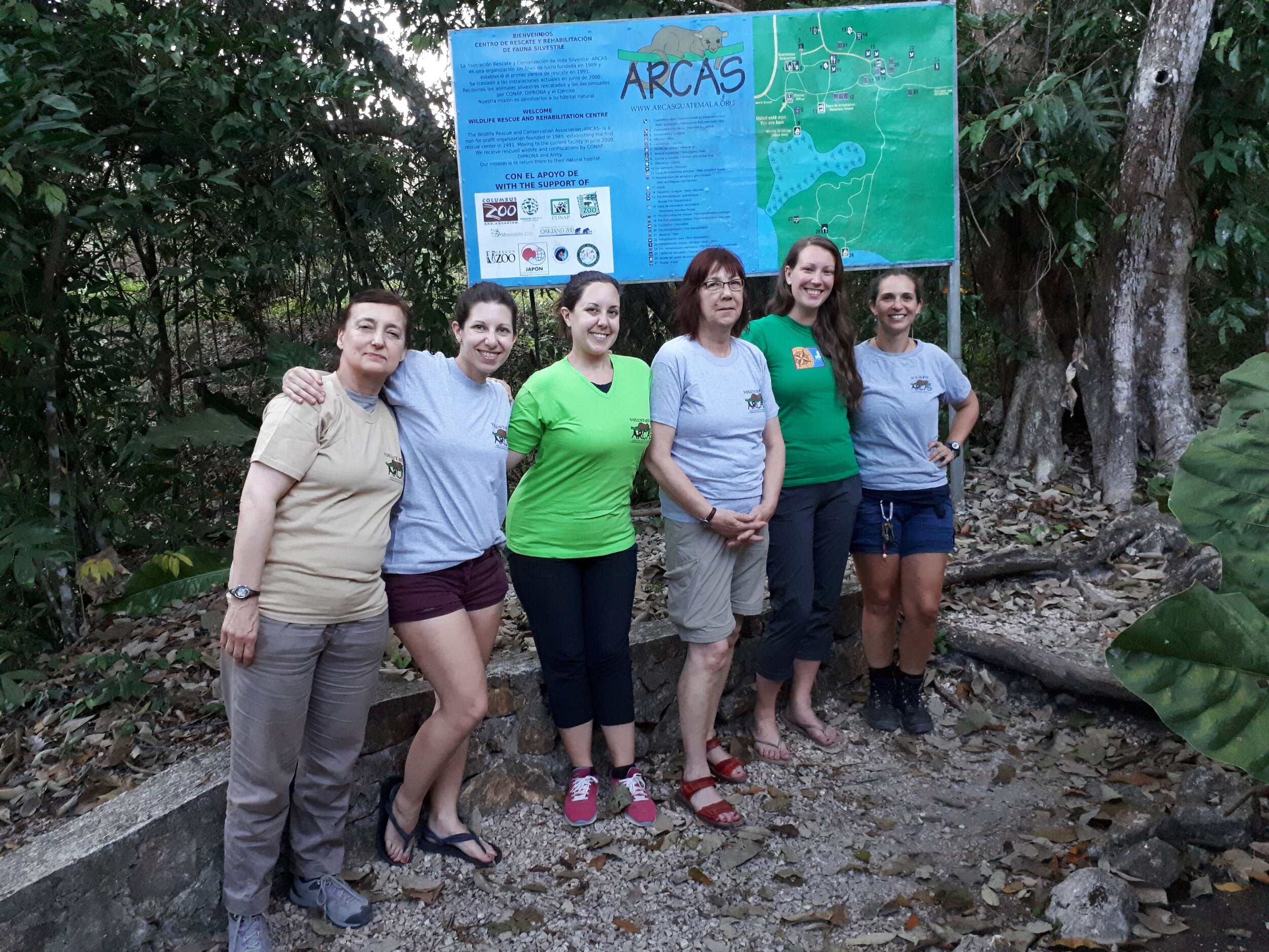 Animal Experience International