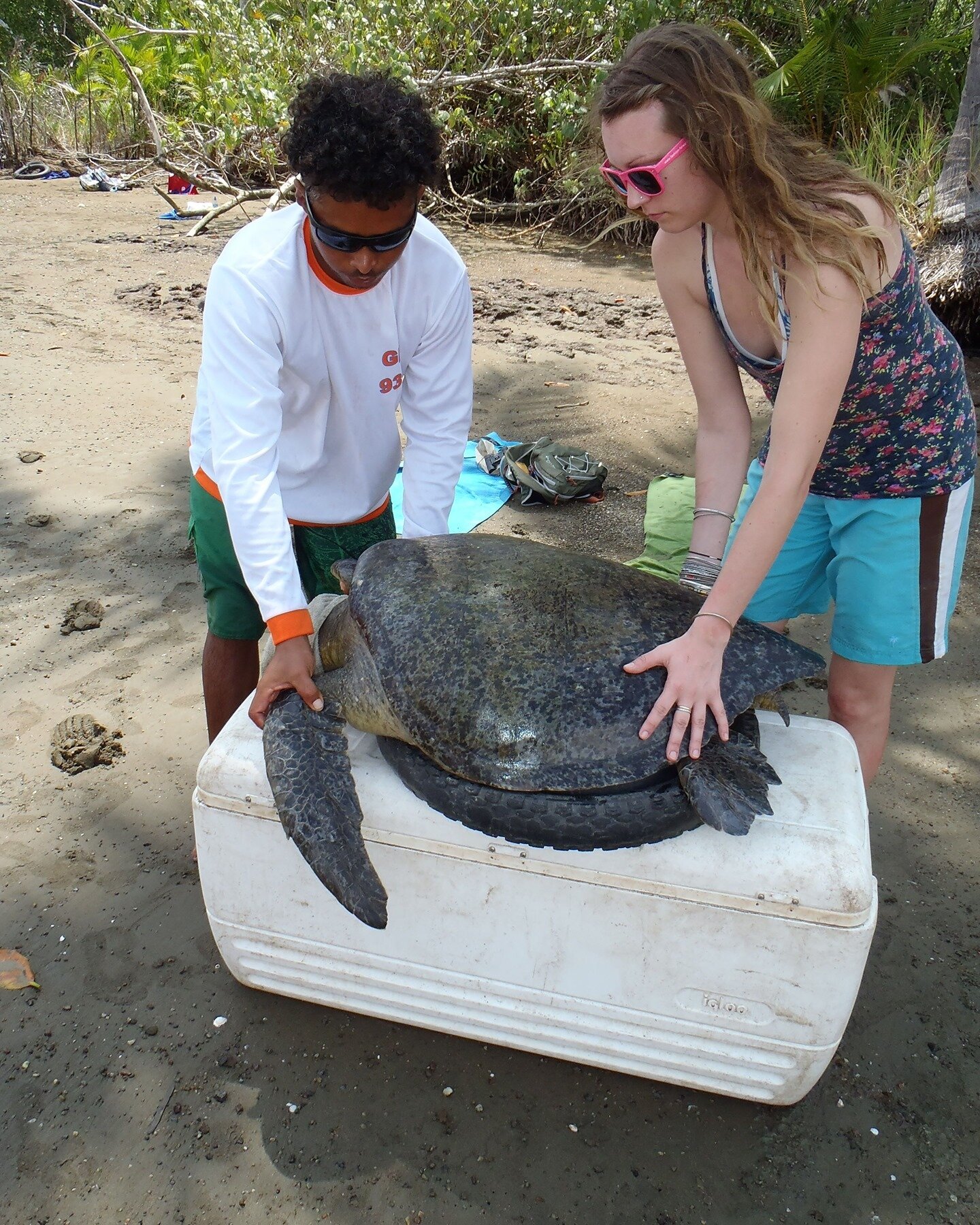 Animal Experience International