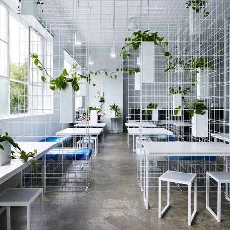 Meristem Design | Commercial