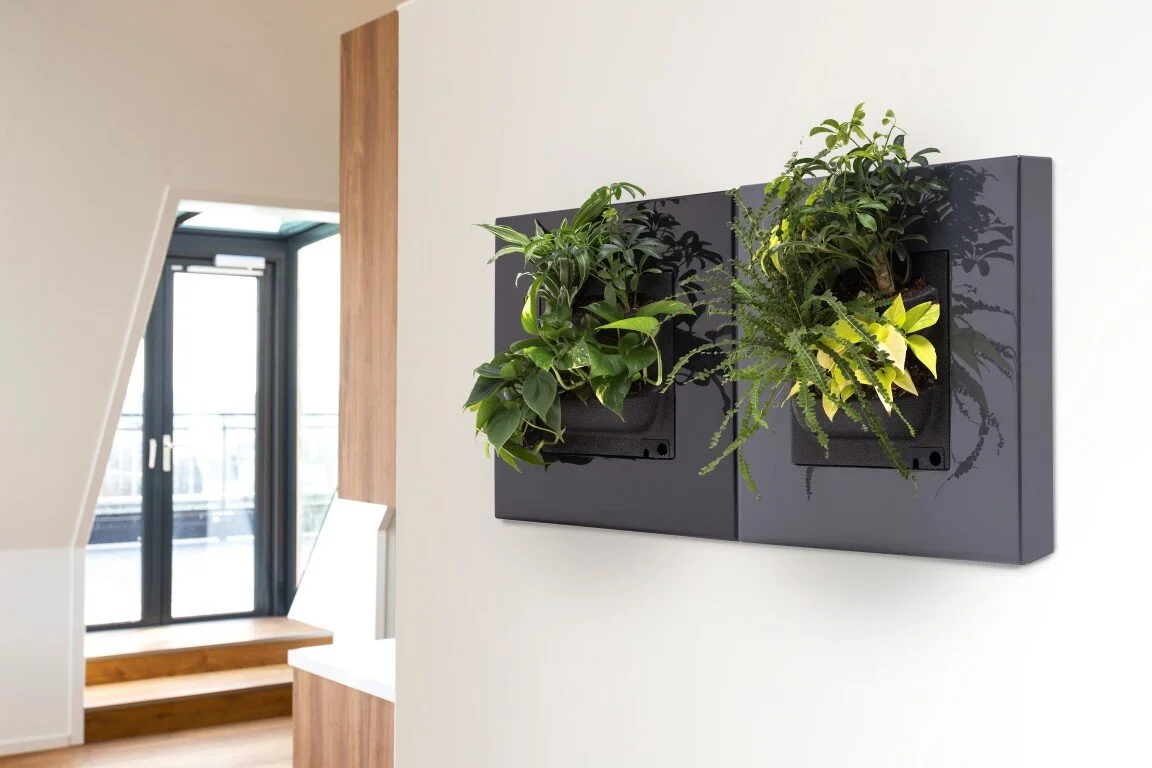 Meristem Design | Sustainable Living Walls & Modular Green Wall Systems