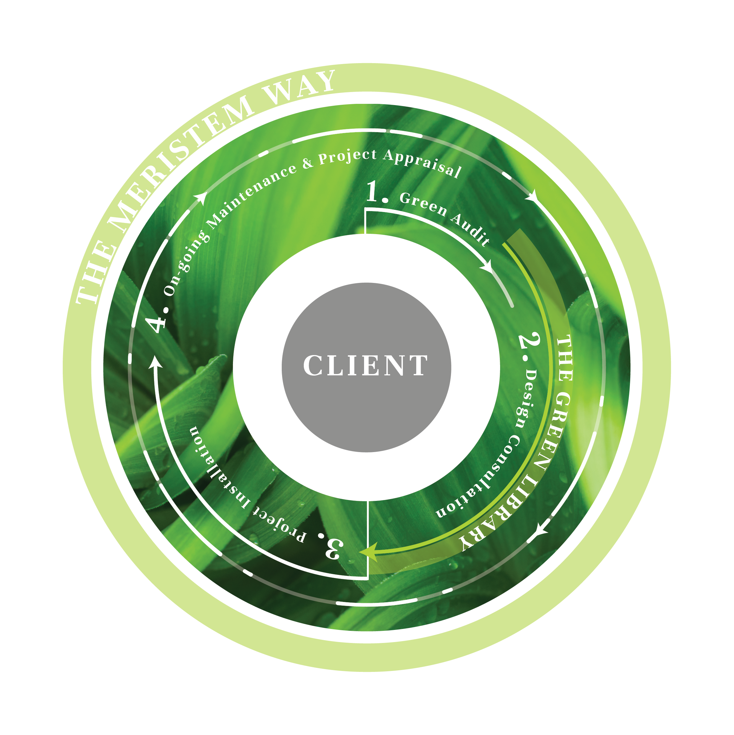 Meristem Design | Urban greening & Design Consultancy