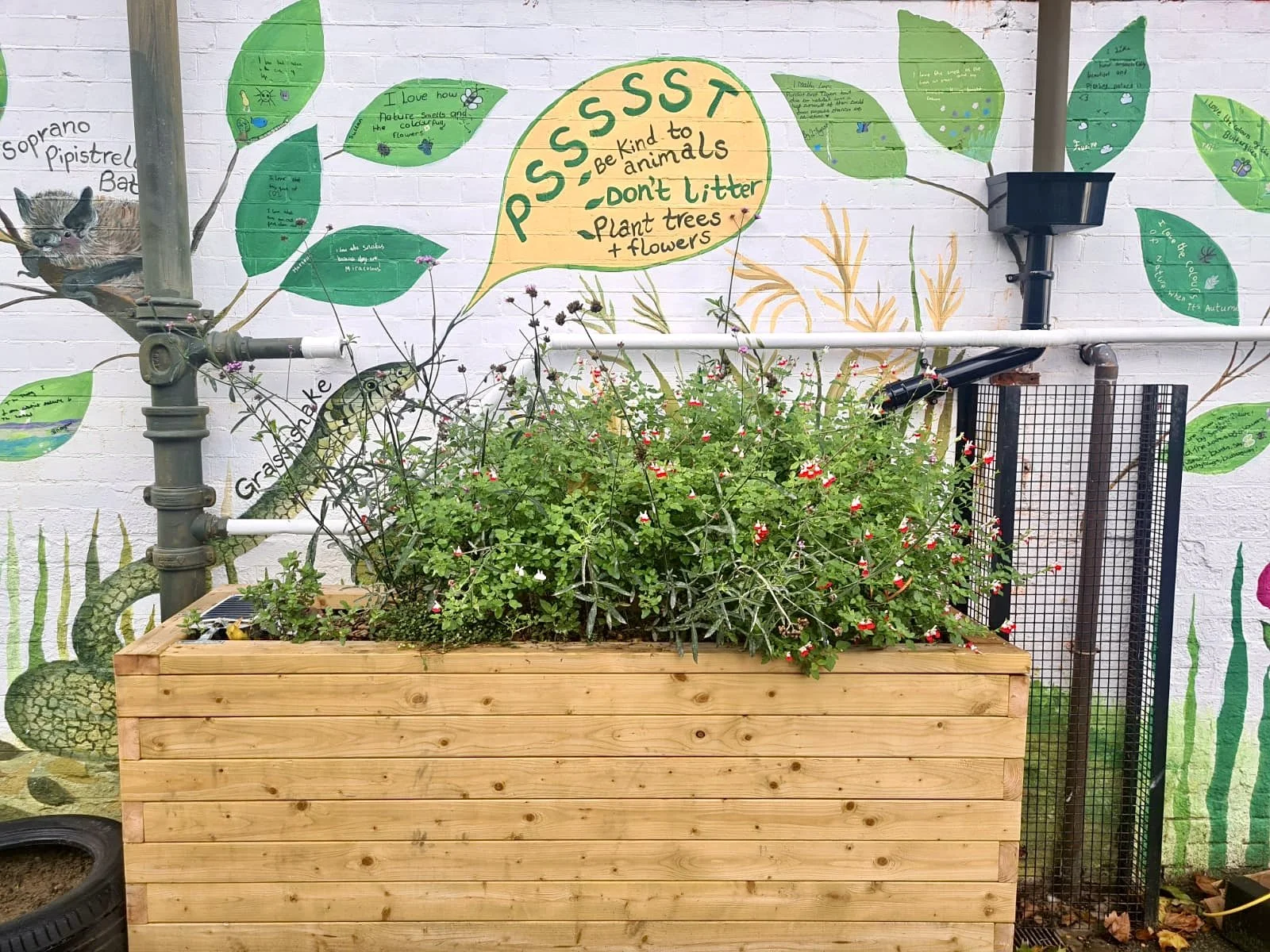 Connecting children to nature | Meristem Design