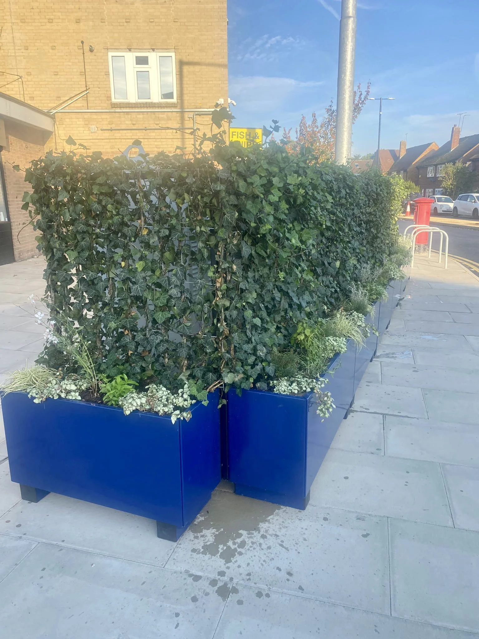 The Benefits of Green Screens in Urban Design | Meristem Design