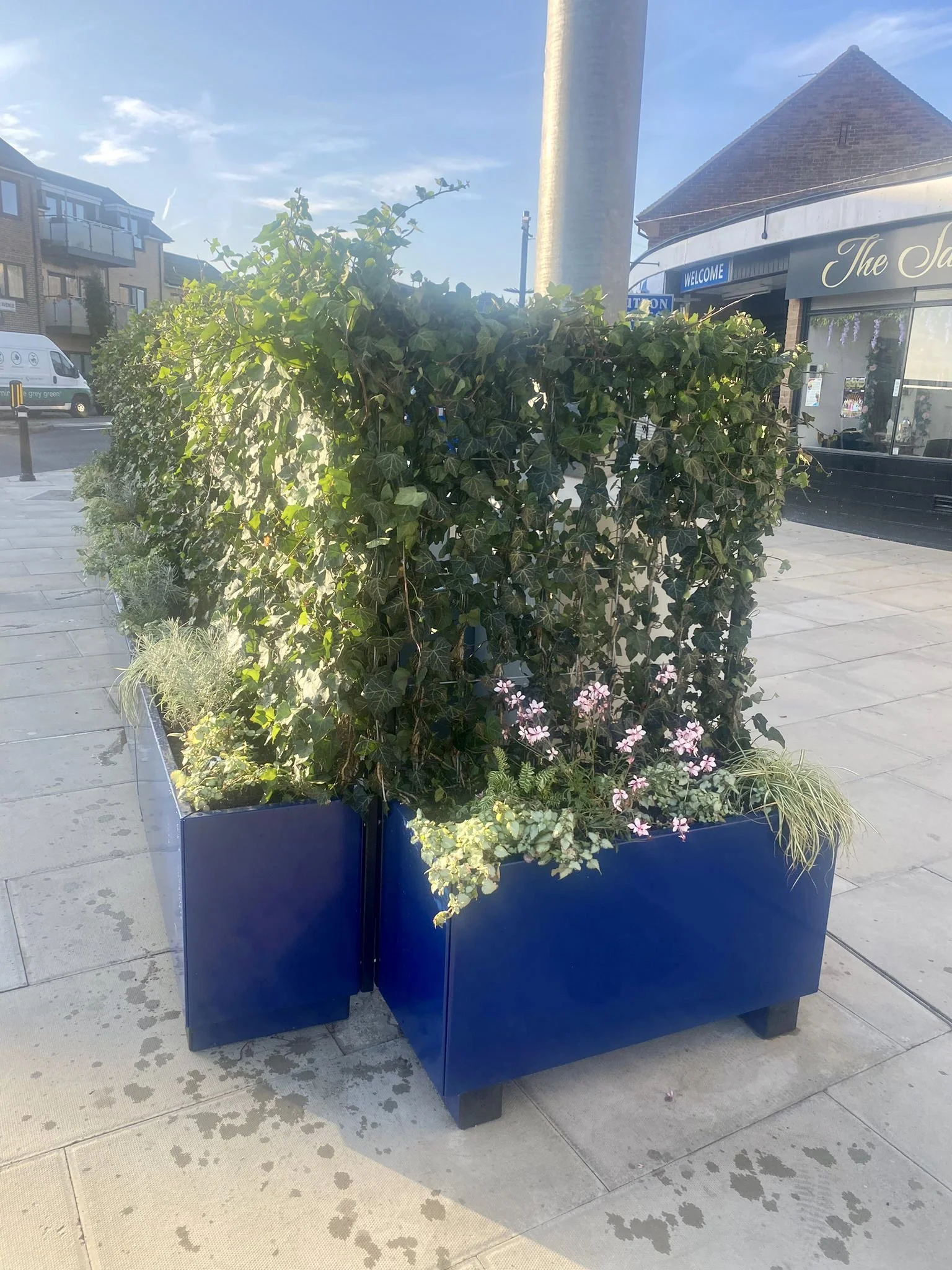 The Benefits of Green Screens in Urban Design | Meristem Design