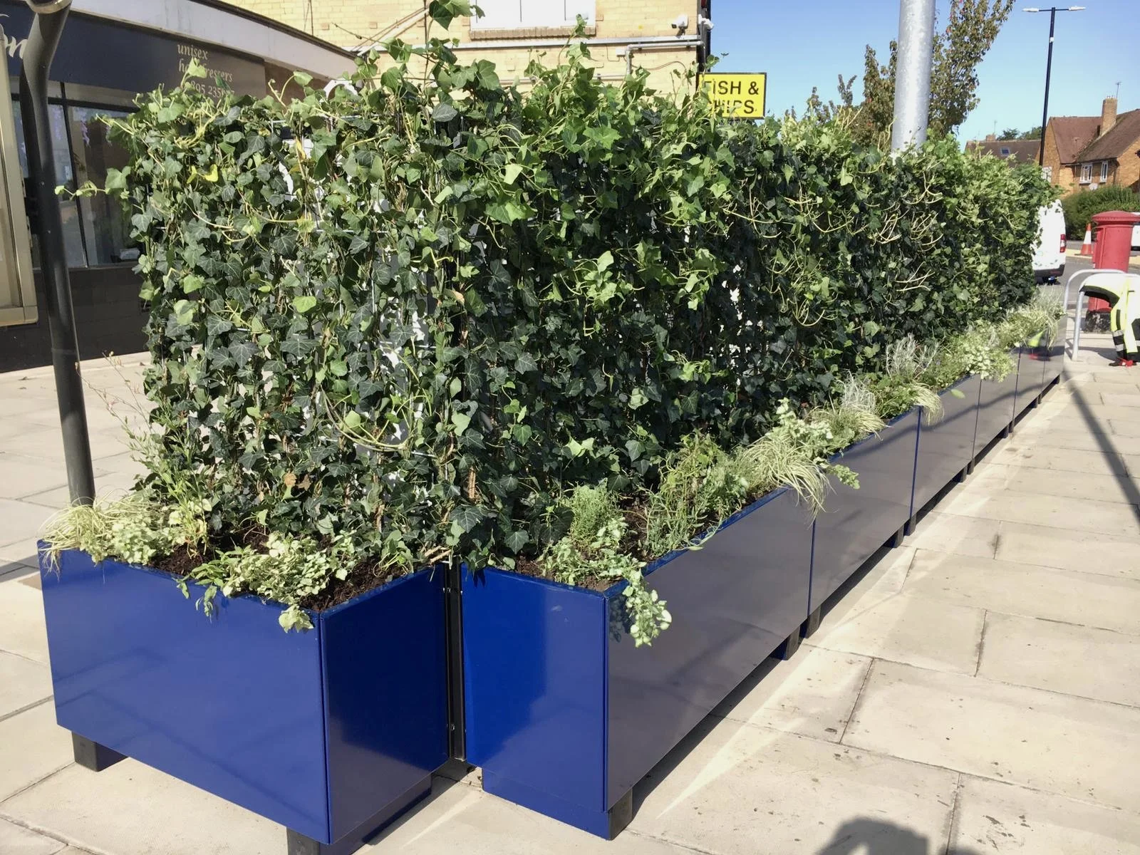 The Benefits of Green Screens in Urban Design | Meristem Design