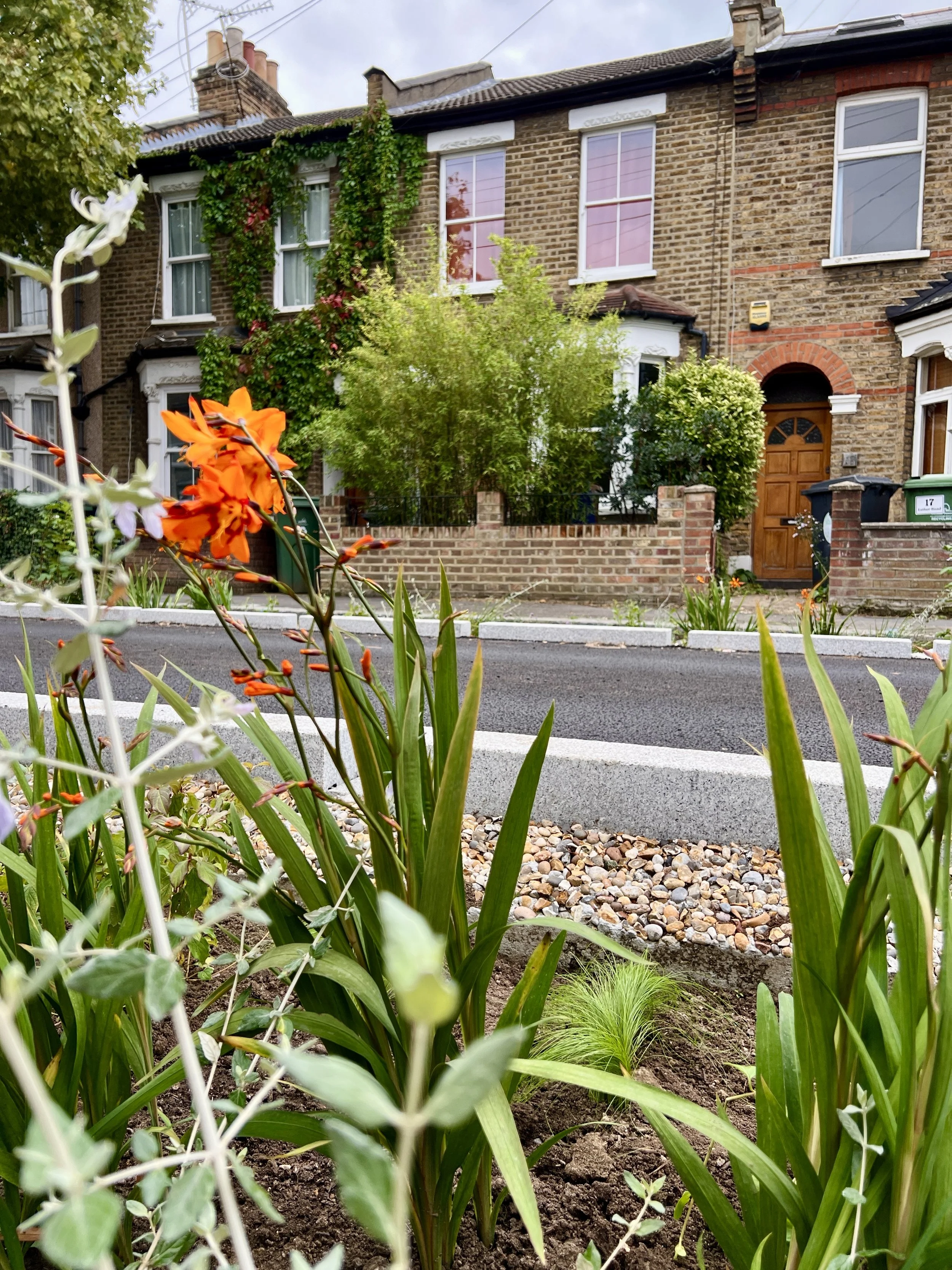 Meristem Design | SuDS In London: Esther Road Rain Gardens