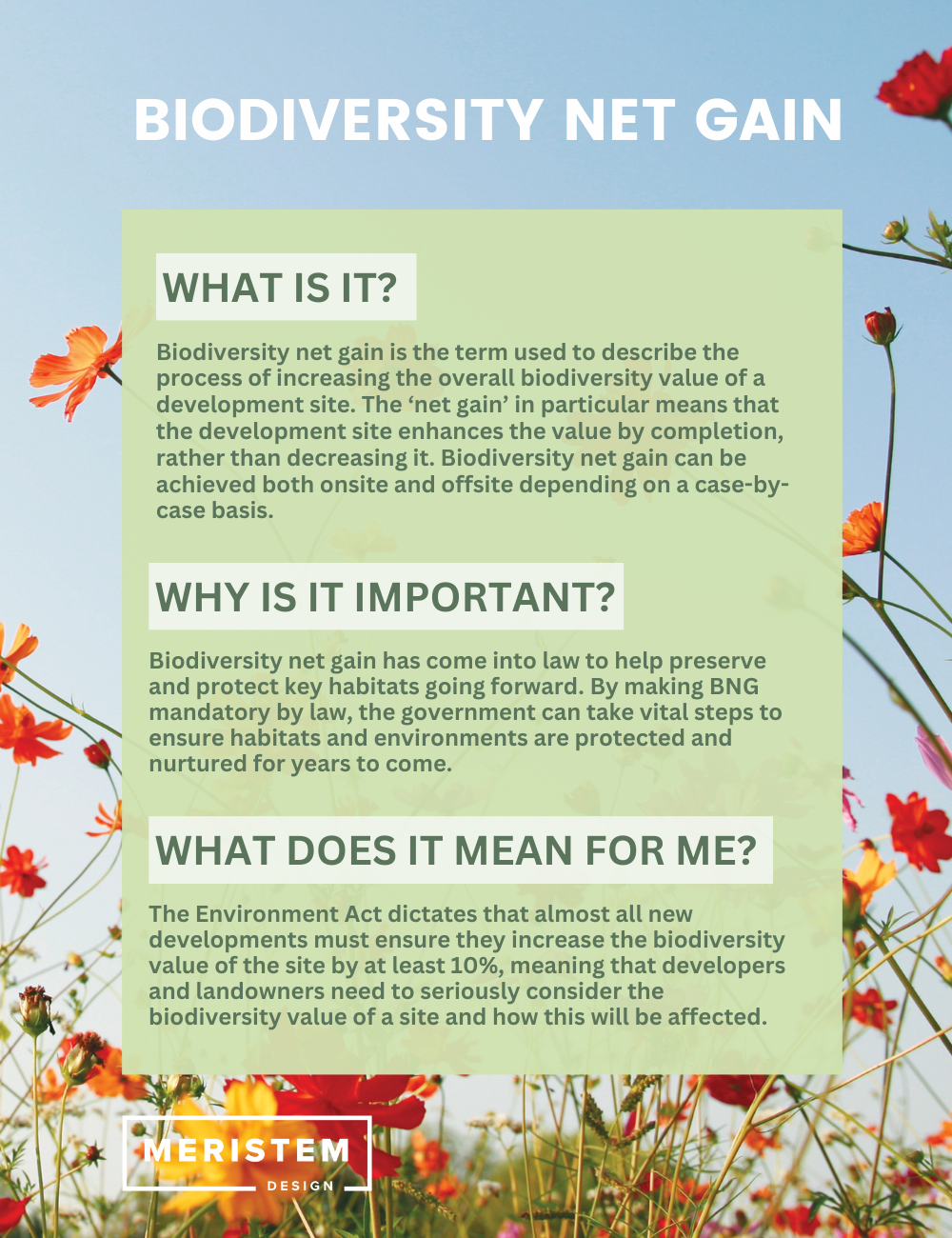 What is Biodiversity Net Gain? | Meristem Design