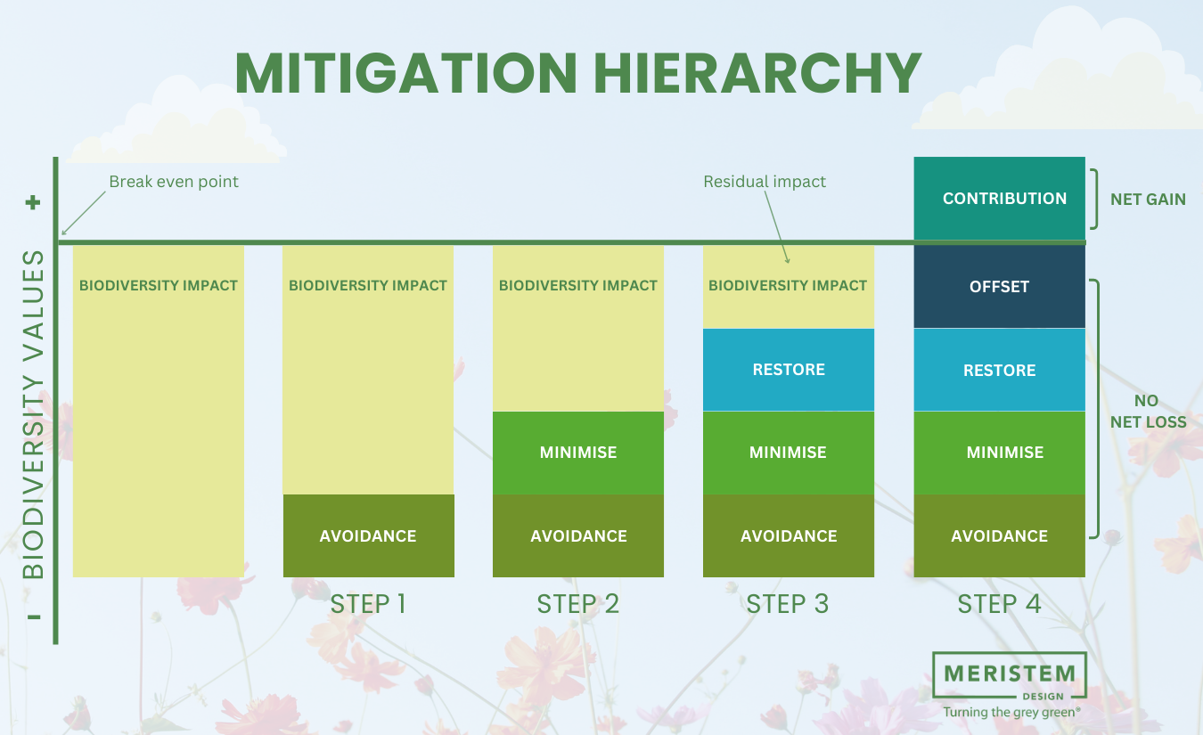 What Is Biodiversity Net Gain Meristem Design