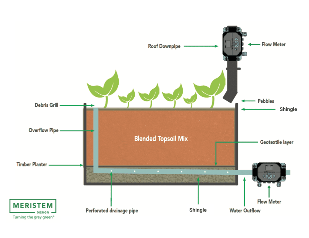Meristem's SuDS planters are a sustainable stormwater management ...