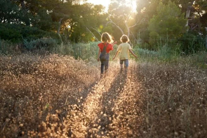 Connecting children to nature | Meristem Design