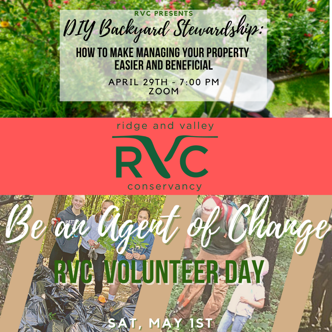 RVC News, Early May Events and More — Ridge and Valley Conservancy