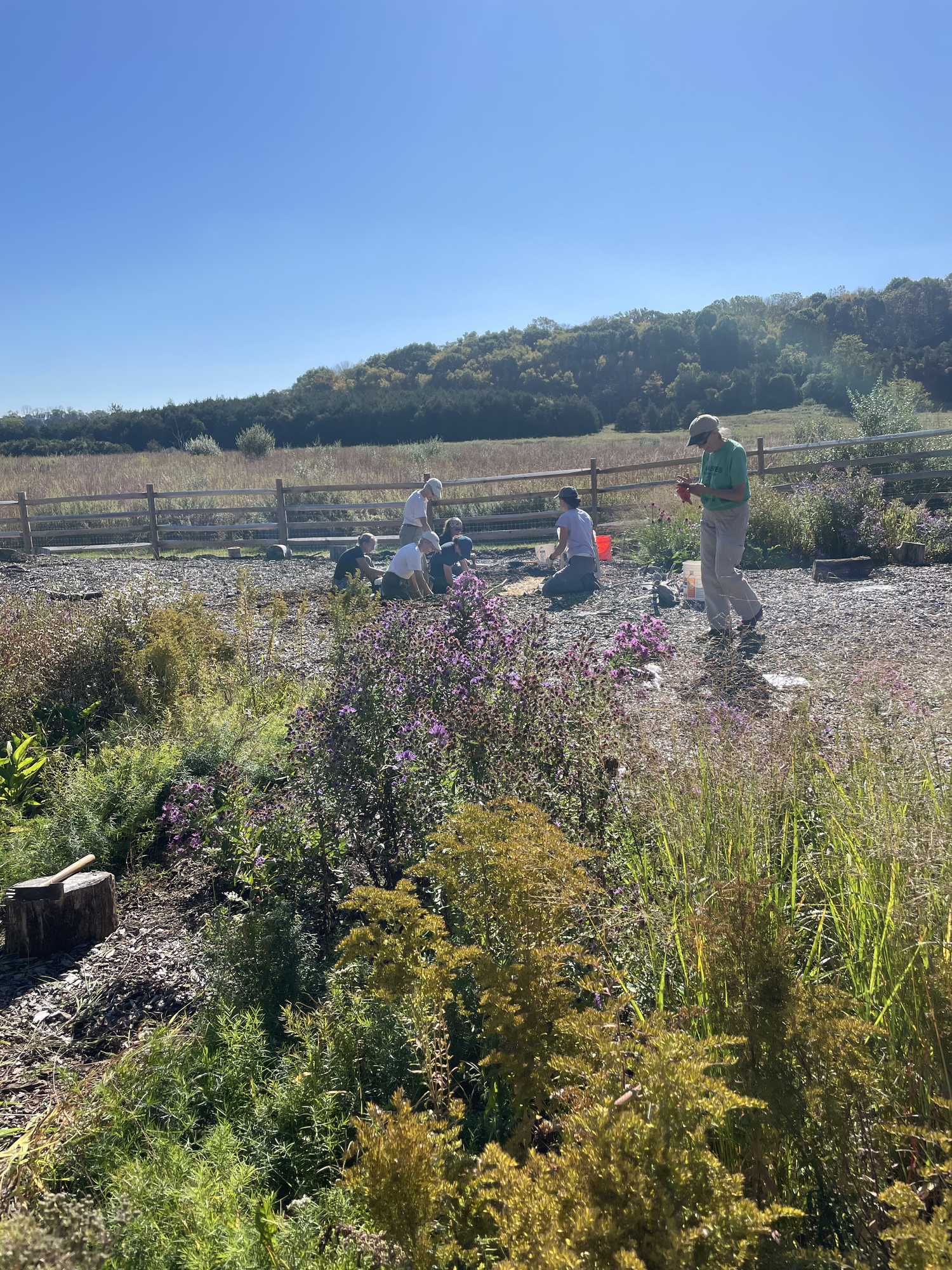 Pocket Meadow at Dark Moon Preserve — Ridge and Valley Conservancy
